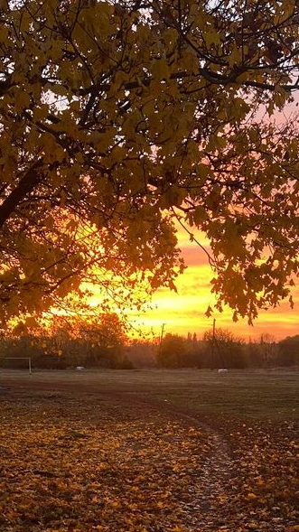 TTD3 – смотреть плейлист, все 1 видео подборки от "minix 💋" онлайн в ...