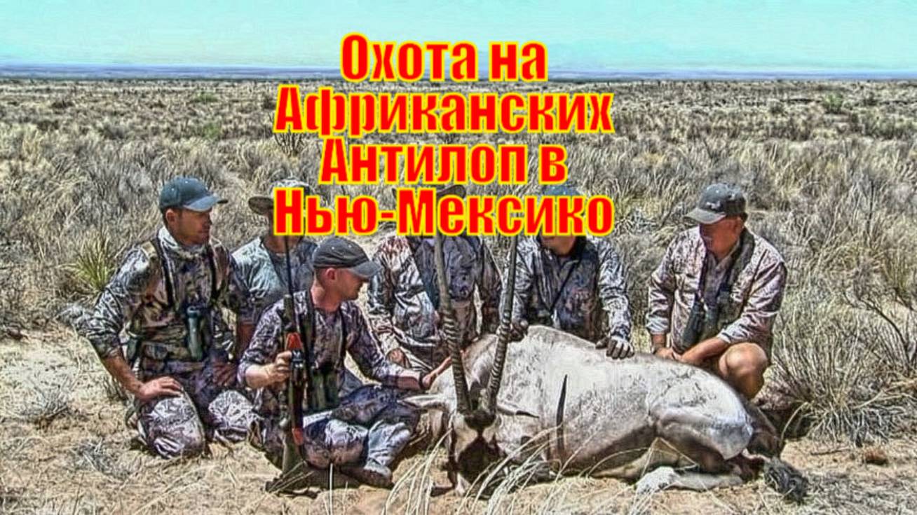 Охота на Африканских Антилоп на свободном выгуле в Нью-Мексико