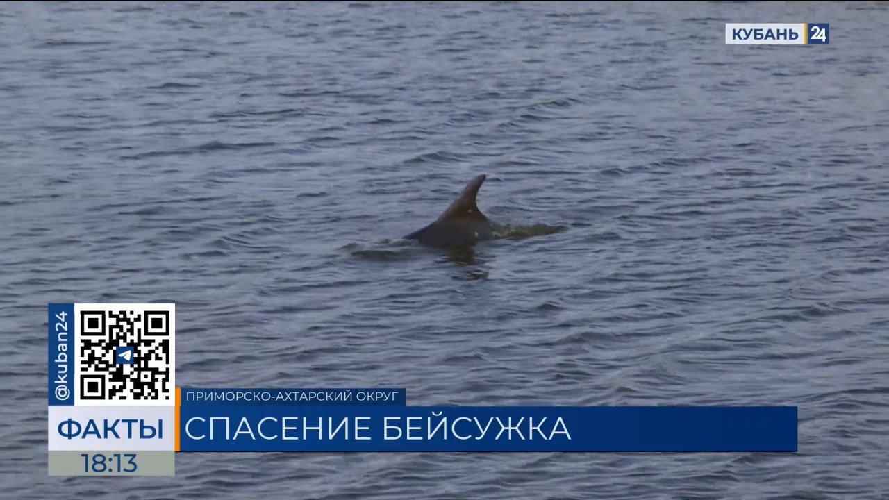 ФАКТЫ. Выпуск от 16.09.25