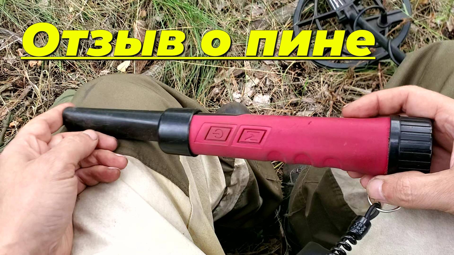 Отзыв про пинпоинтер MD-880