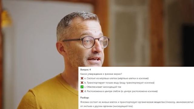 Биология 6 класс. Урок 6. Тест 2. Минеральное питание и транспорт веществ. Подготовка к ВПР.