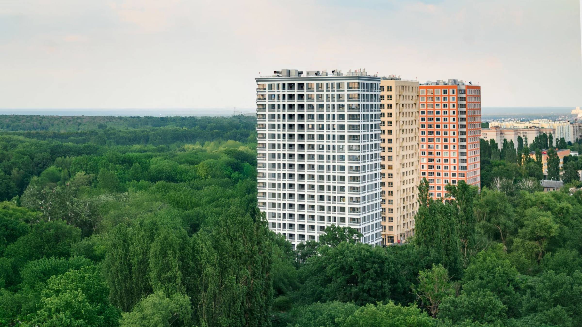 Гармония и баланс во всем