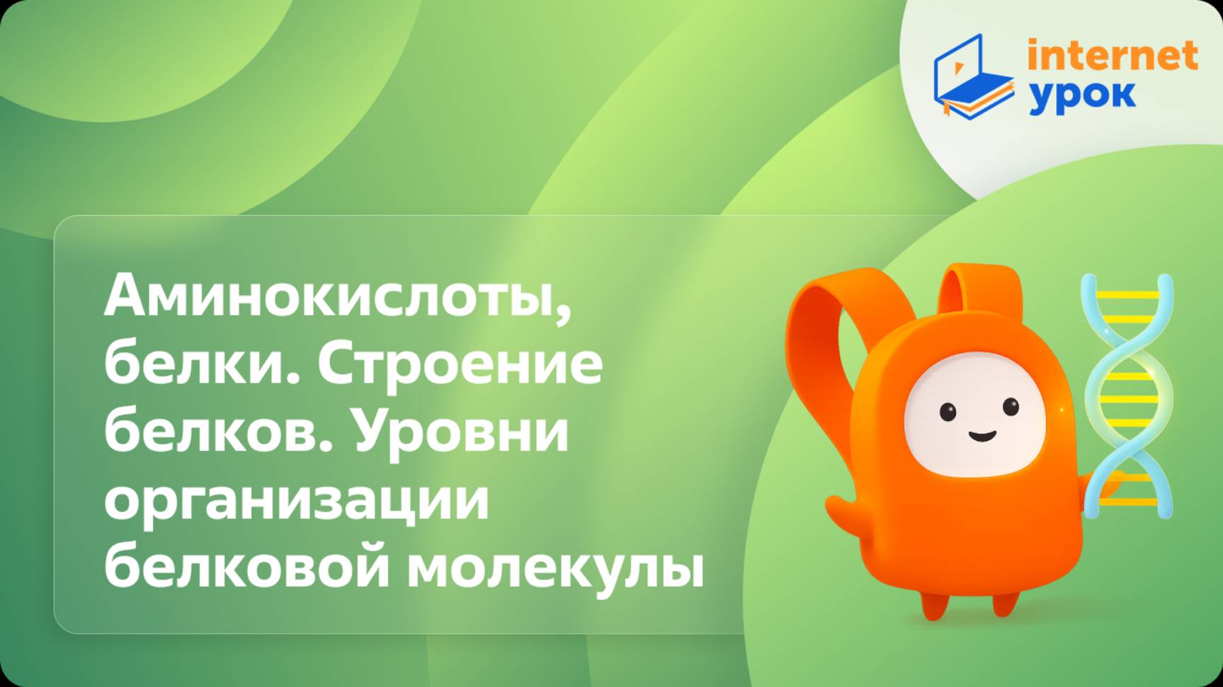 Аминокислоты, белки. Строение белков. Уровни организации белковой молекулы. Видеоурок по биологии