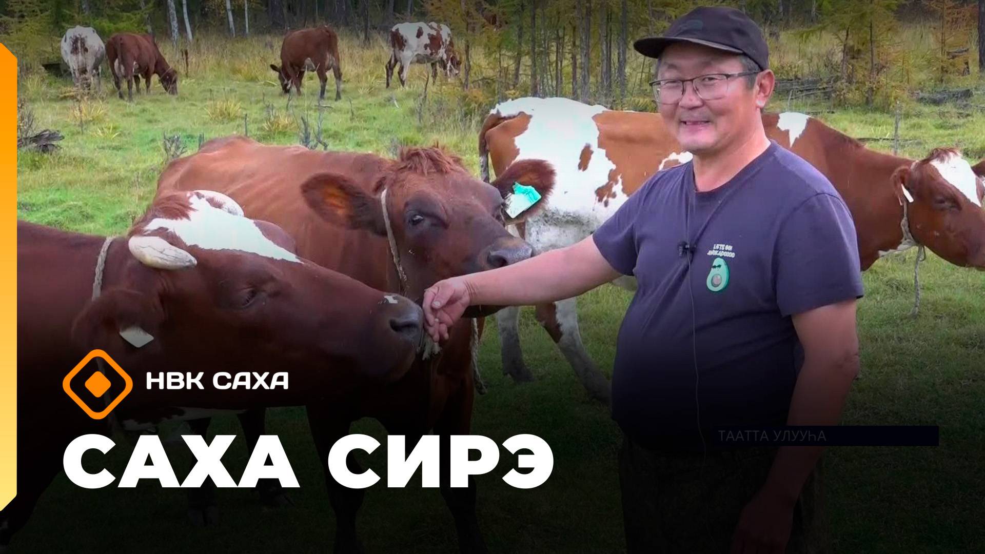 «Саха сирэ» информационнай биэрии. Балаҕан ыйа 17 күнэ 13:30