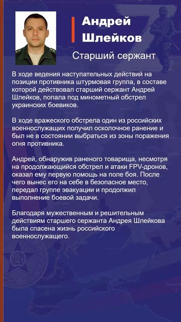 Андрей Шлейков Наградной лист Z