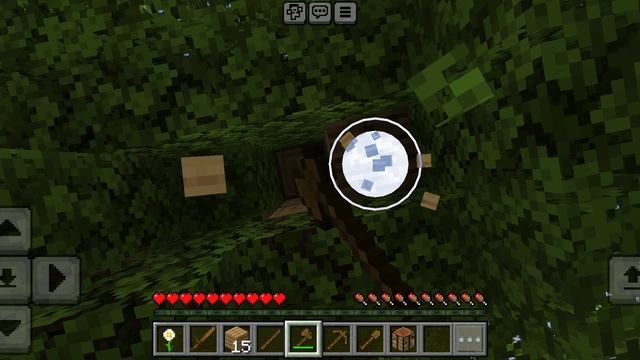 1 часть моего миря