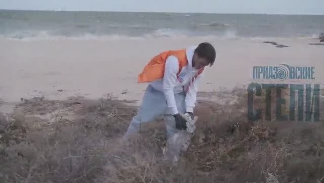 Молодые активисты убрали косу Долгую после окончания курортного сезона