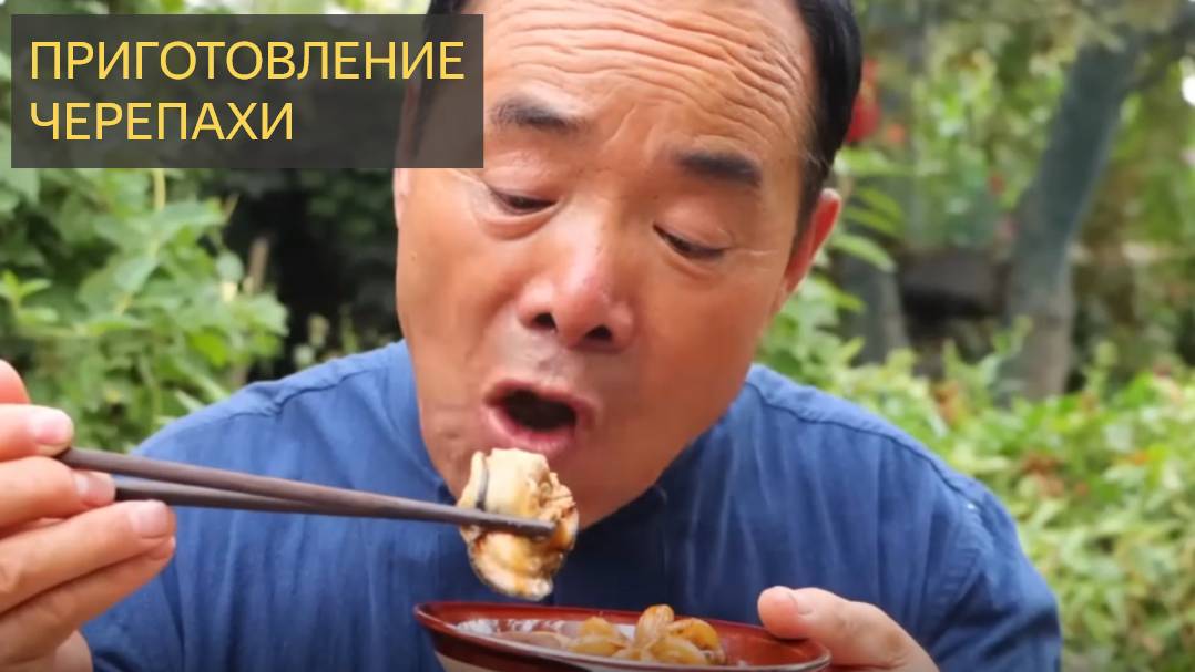 Приготовление черепахи. Китайский рецепт