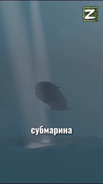 Акула