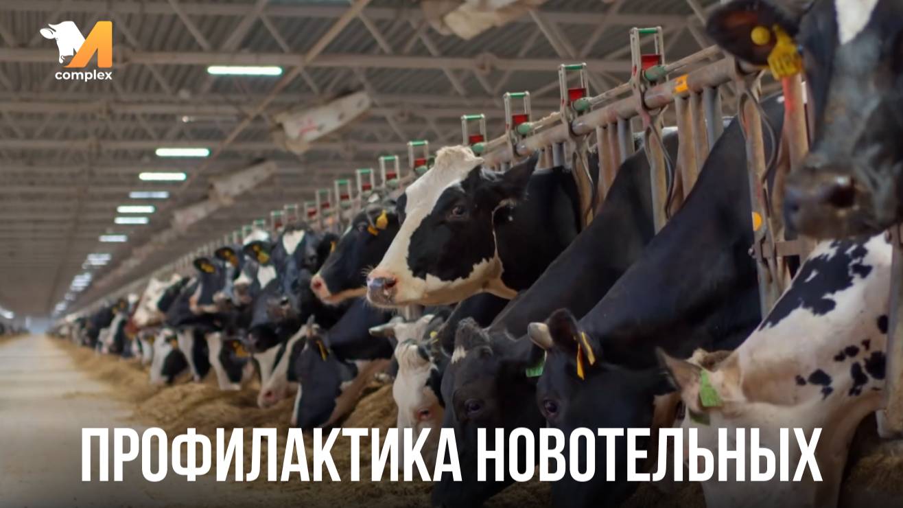 Профилактика новотельных с М-комплекс