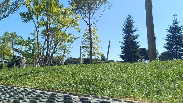 Стихи Пушкина, ожившие в песнях