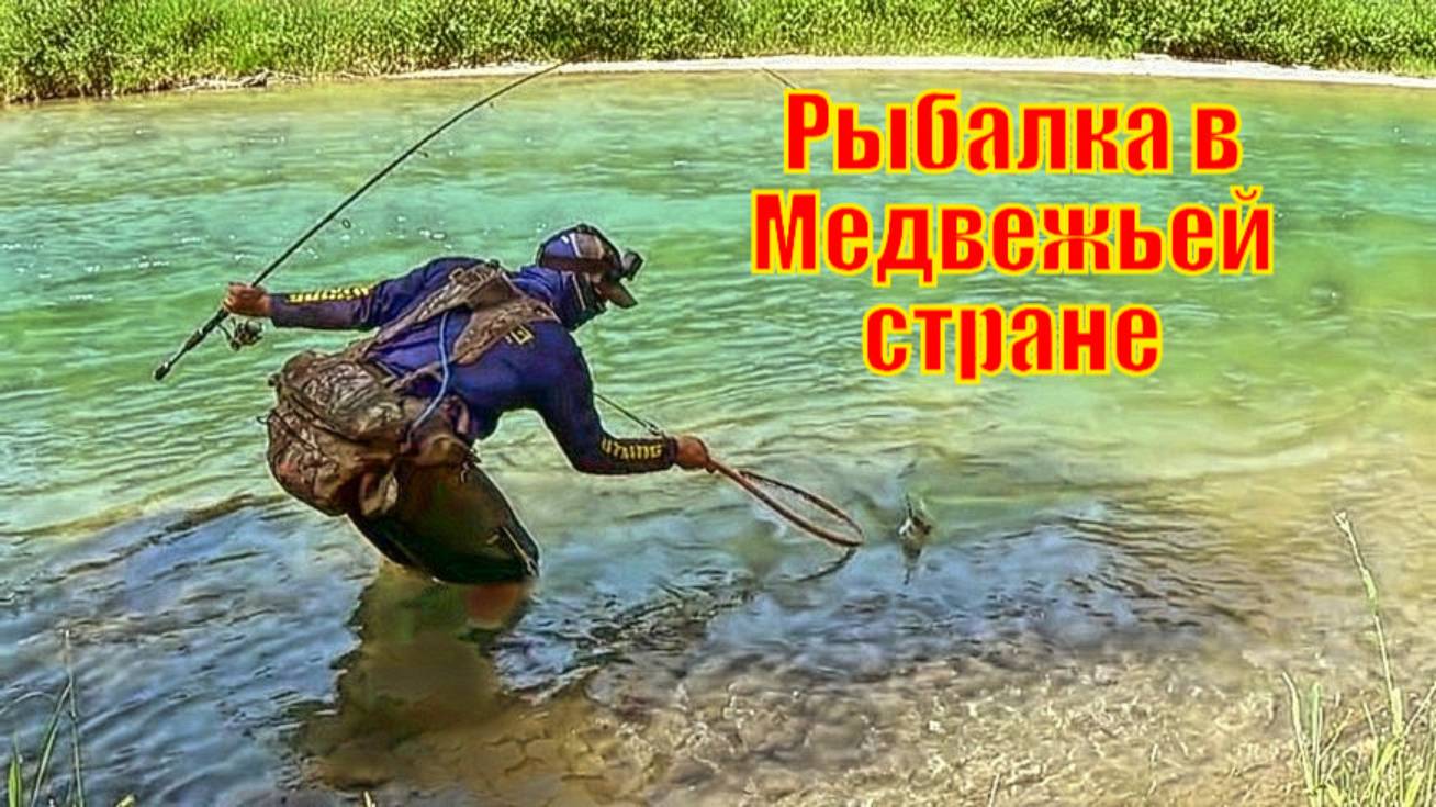 Рыбалка в Медвежьей стране с помощью KastKing's Perigee II