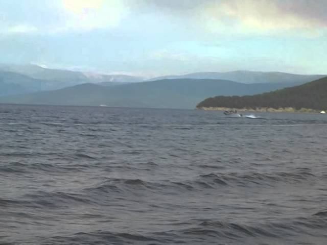 катер Беркут L-HT, оз.Байкал