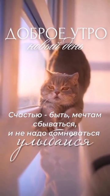 Нейрокотики