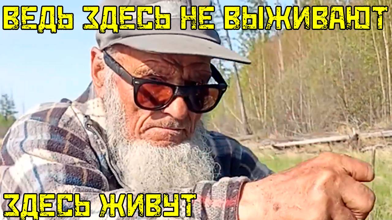 Здесь не выживают Здесь живут Таежные истории дяди Толи и не только