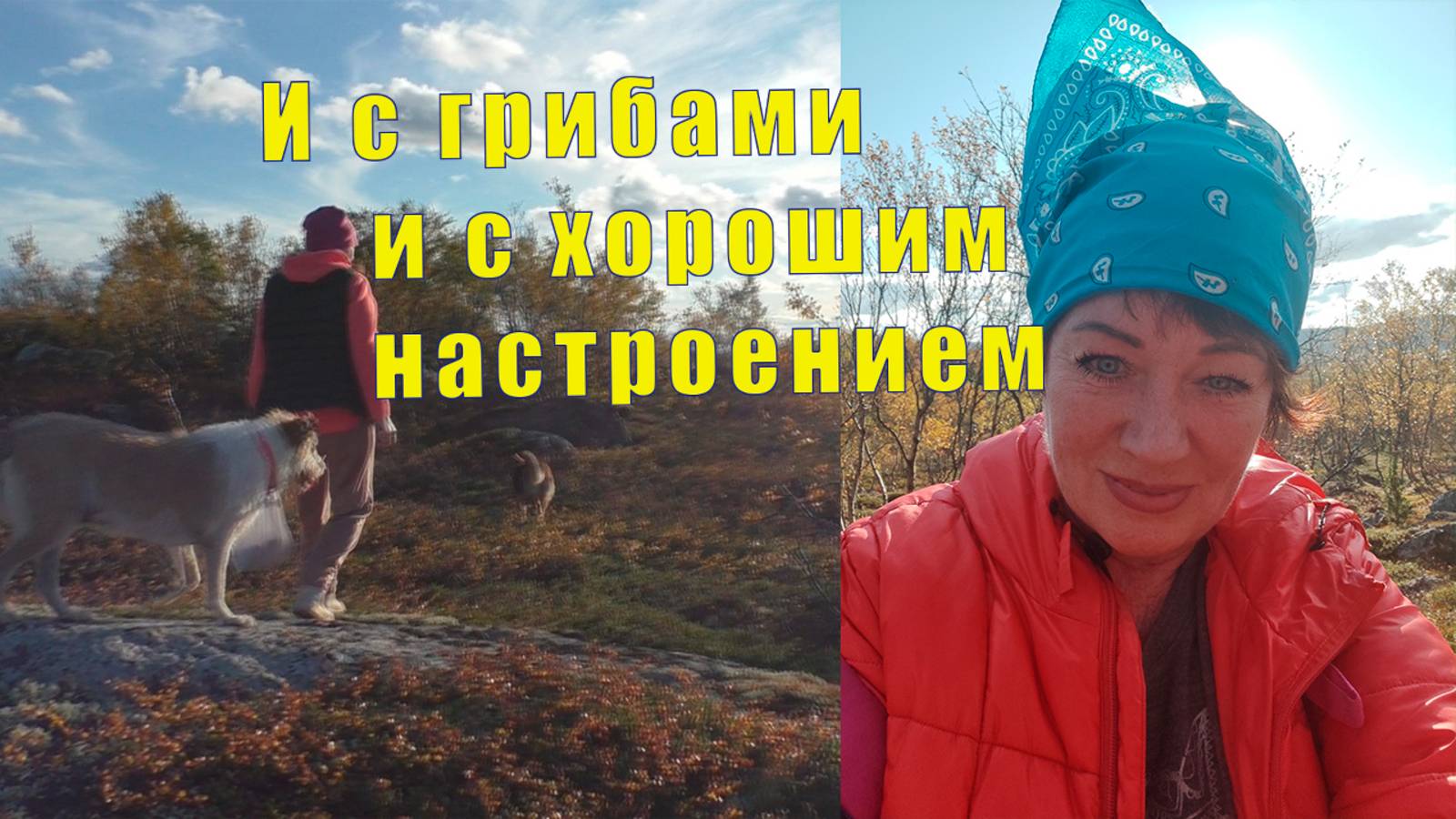 НАГУЛЯЛИСЬ ОТ ДУШИ/  И С ГРИБАМИ И С ХОРОШИМ НАСТРОЕНИЕМ /14 сентября 2025