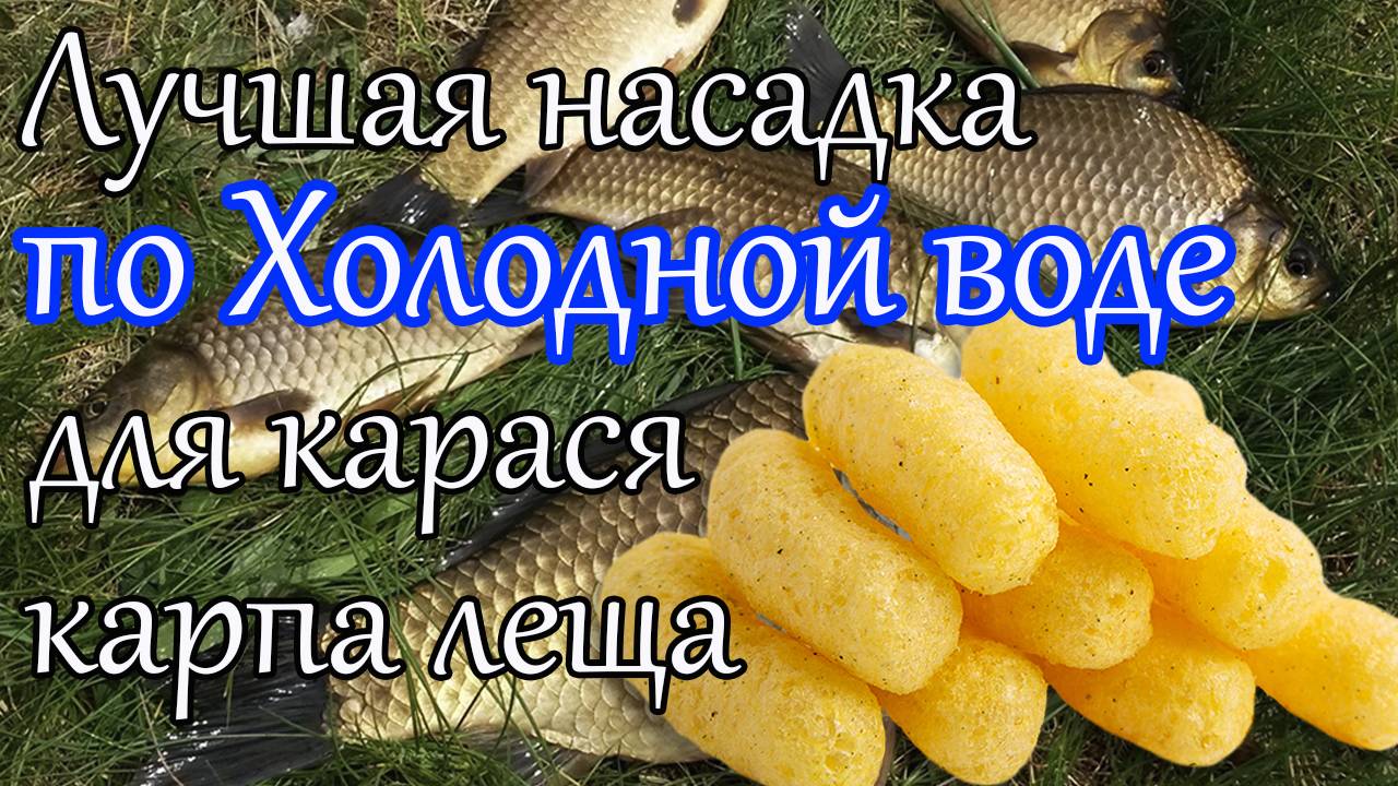 Лови по Холодной Воде. Насадка для Крупного Карася Леща. Супер Рыболовная Насадка.