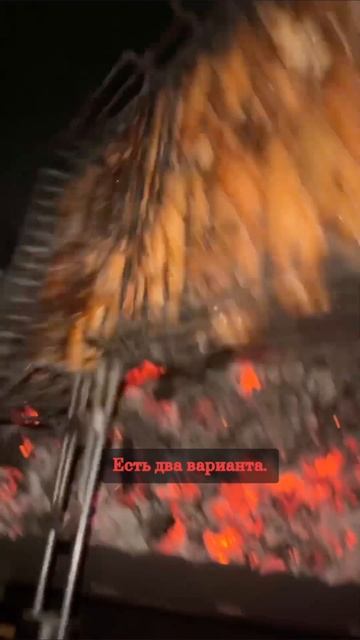 лайфхак определение шашлыка готовности