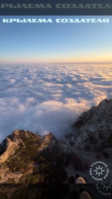 #КС / Займитесь собой