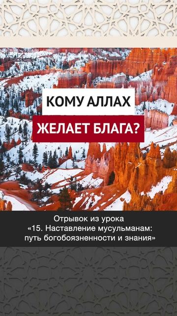 Кому Аллах желает блага? || Рустам абу Марьям #ислам #коран #вера #факты #намаз #пост #умра #нрав