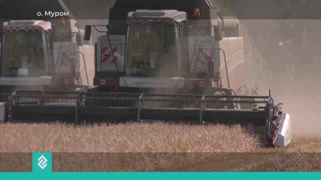 Во Владимирской области продолжается уборка урожая