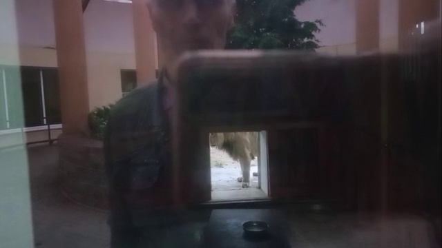 Шархан Вечером 16.09.2025 Видео от Ивана