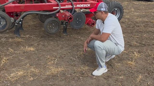 Обзор анкерной сеялки HORSCH SPRINTER 15 NT в Руднянском районе Волгоградской области