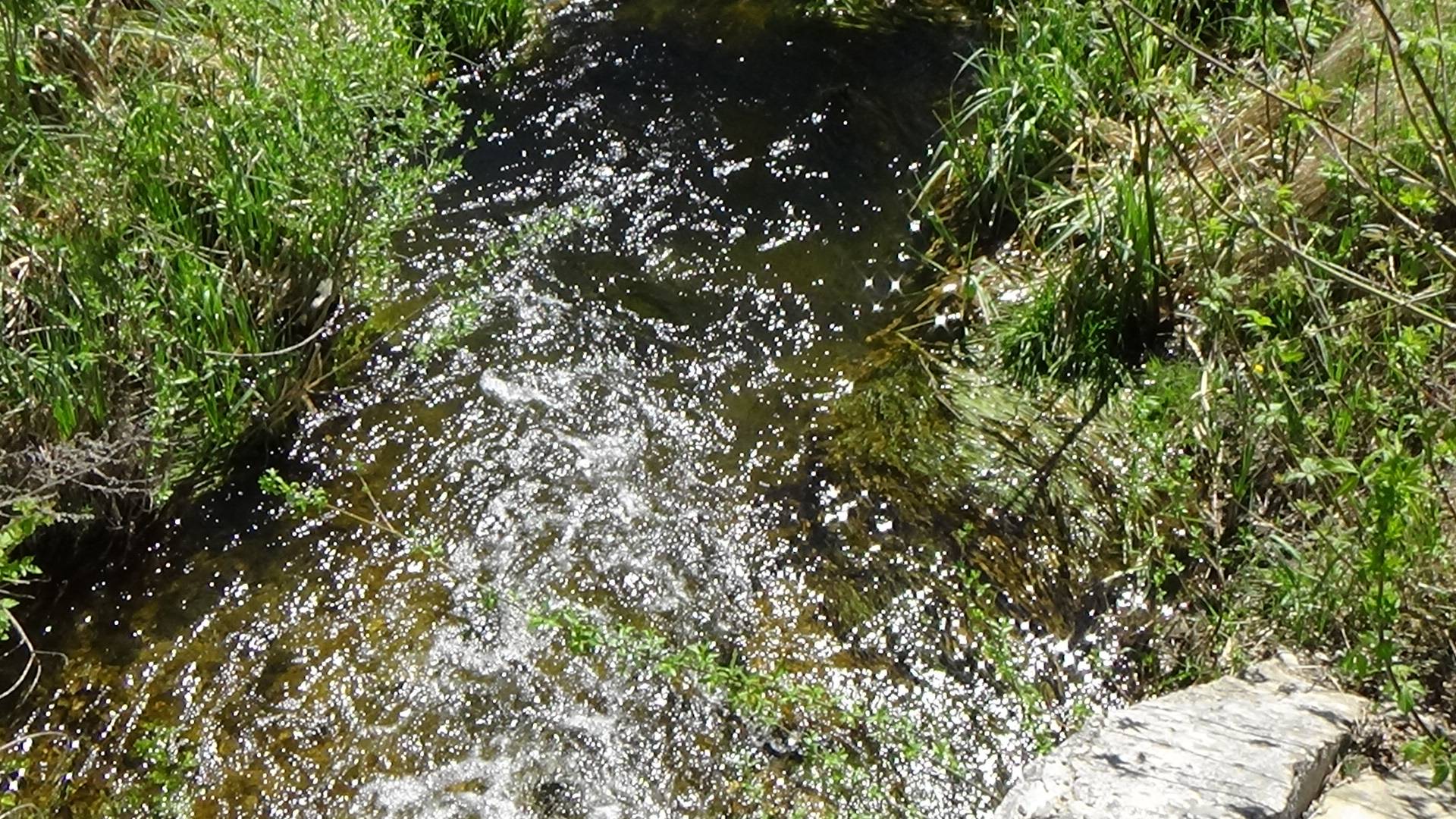 село долгий бродок корочанского района белгородская область