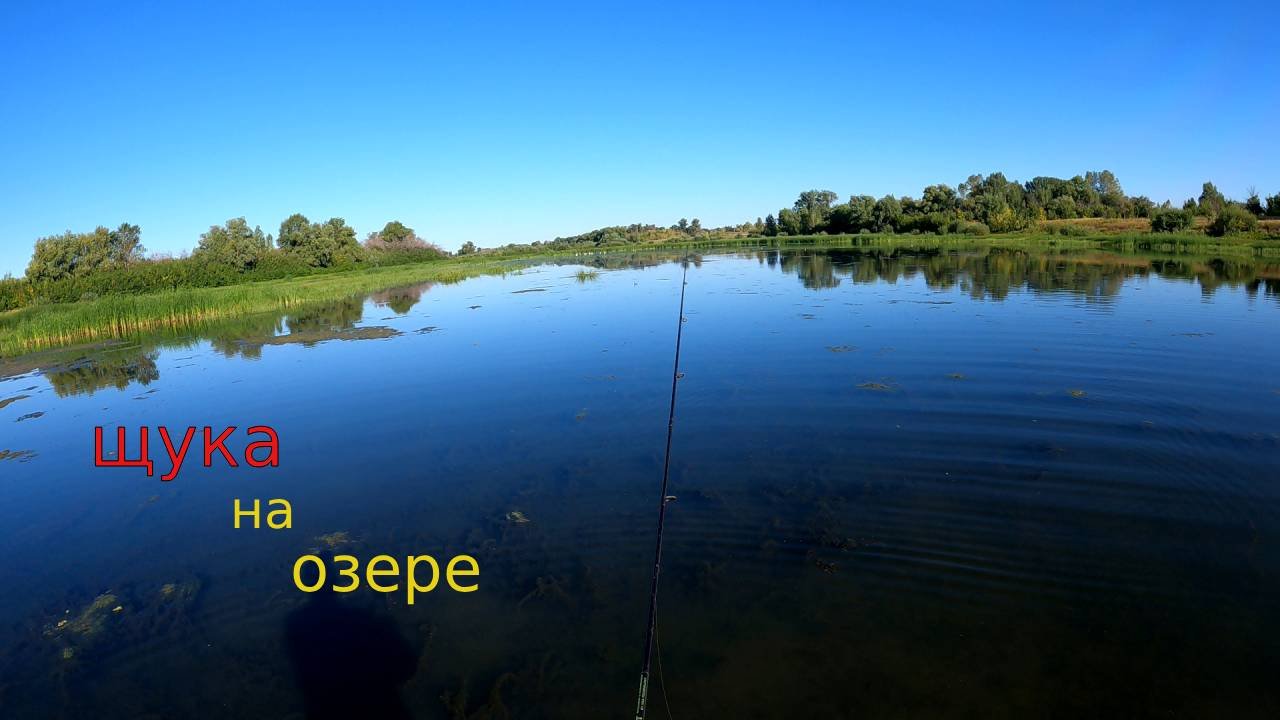 Рыбалка на щуку в конце августа. Щука бросается на приманки прямо из травы. Часть 2