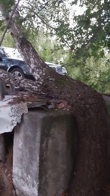 Удивительно как природа умеет адаптироваться под условия!