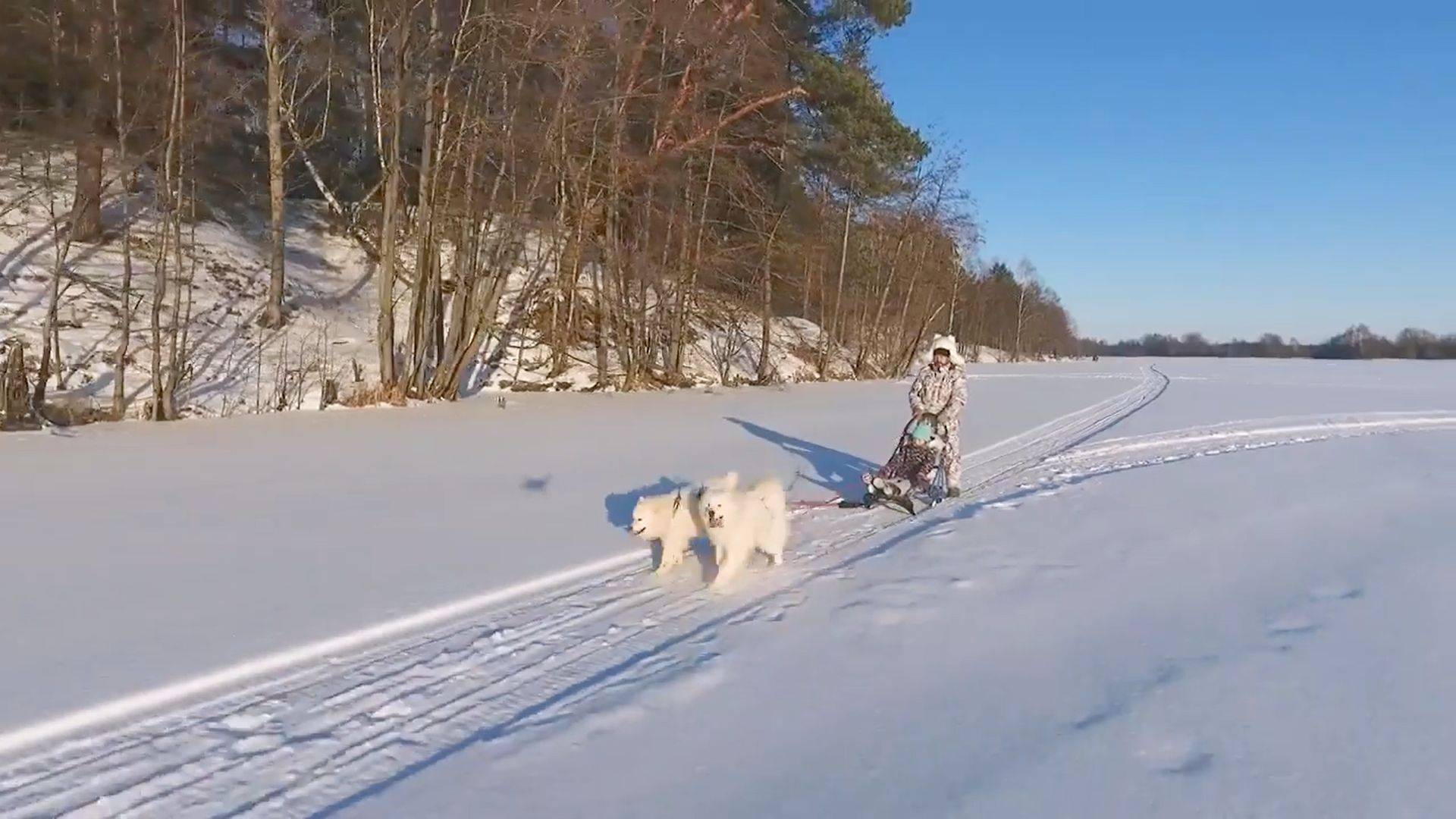 База отдыха «Щукино»: зимний отдых
