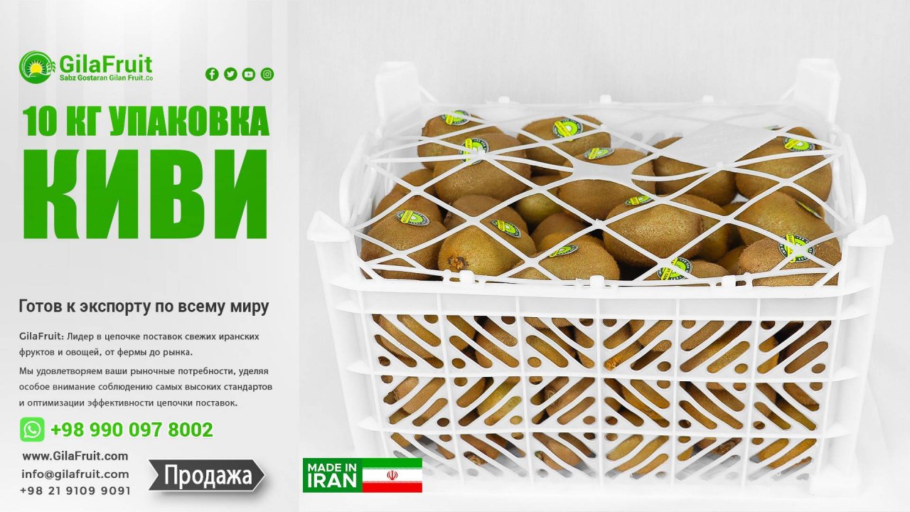10 кг упаковка киви