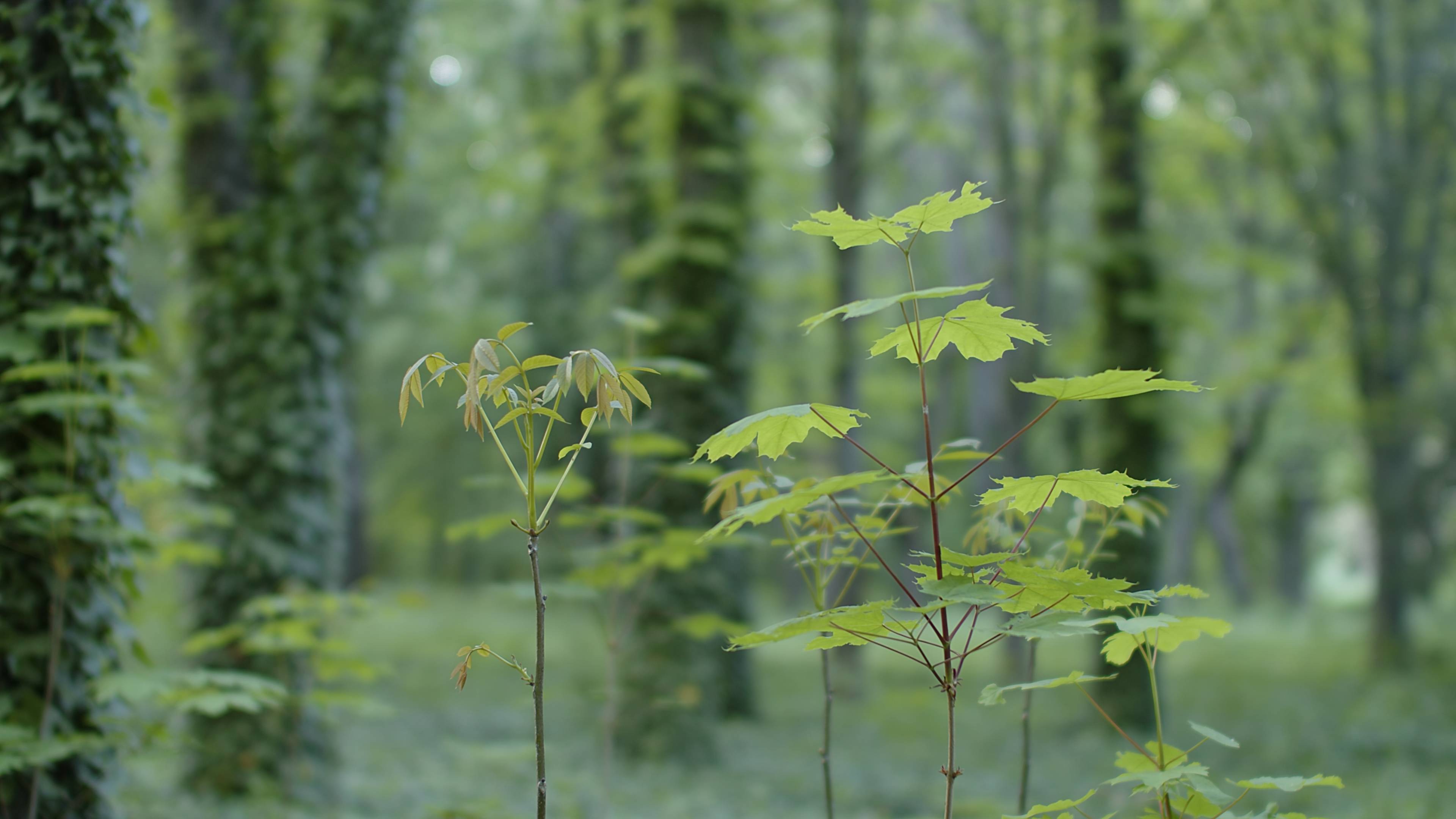 Если стал каменным и бесчувственным. Не беги.