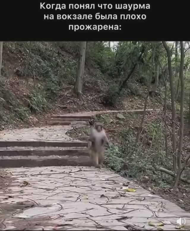 Что-то забыл вспомнить.MP4