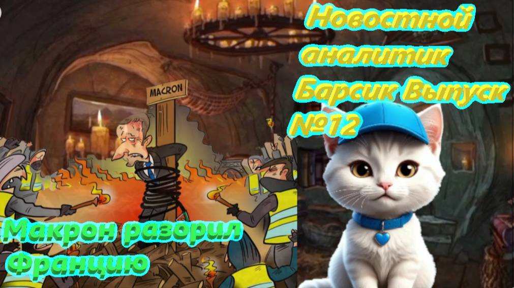 Новостной аналитик Барсик Выпуск №12 Макрон разорил Францию