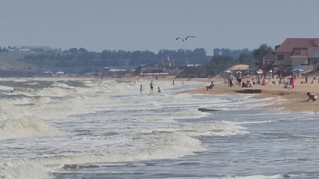 Азовское море, медуз нет. Сентябрь.