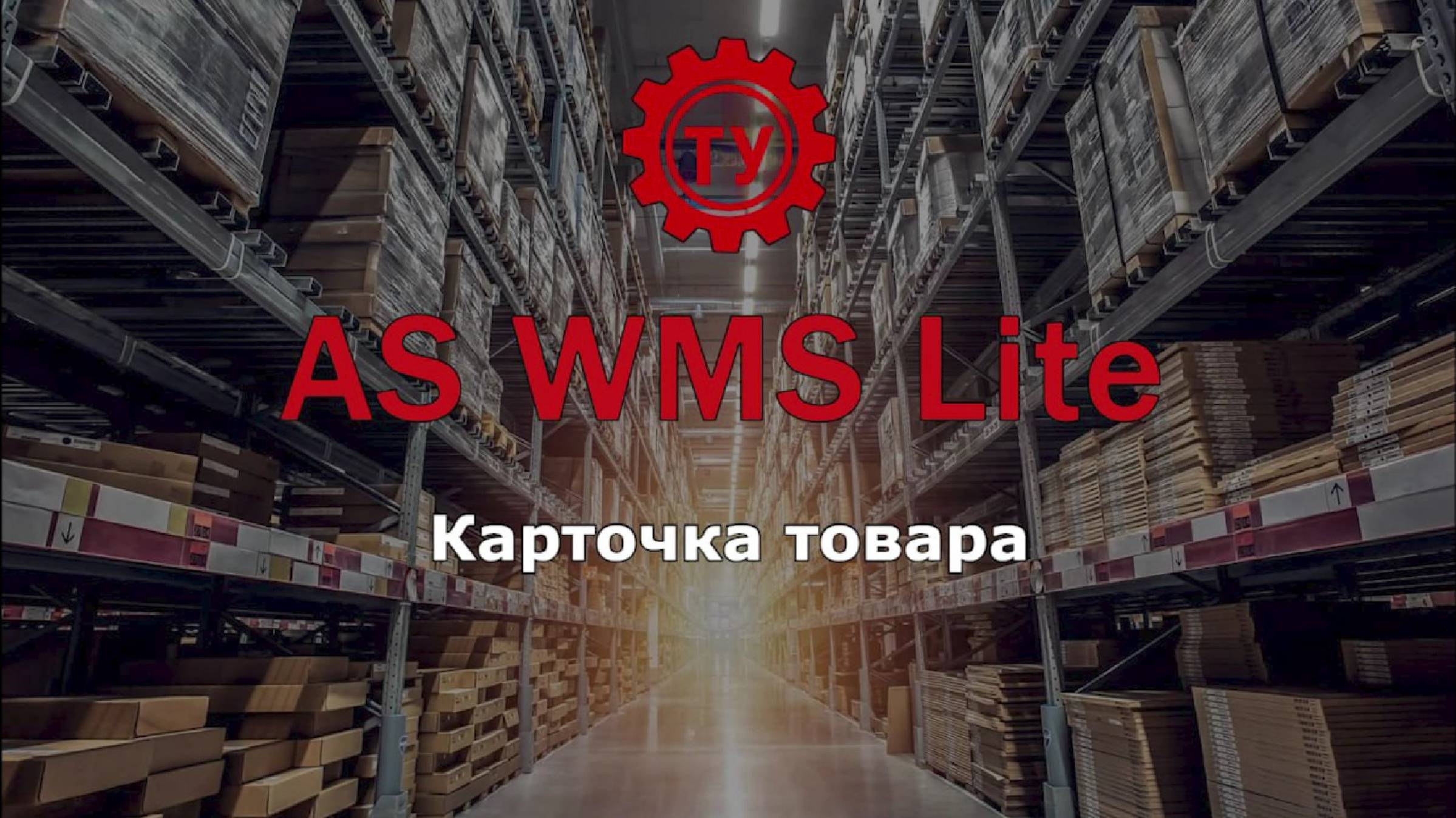 Карточка товара в AS WMS Lite