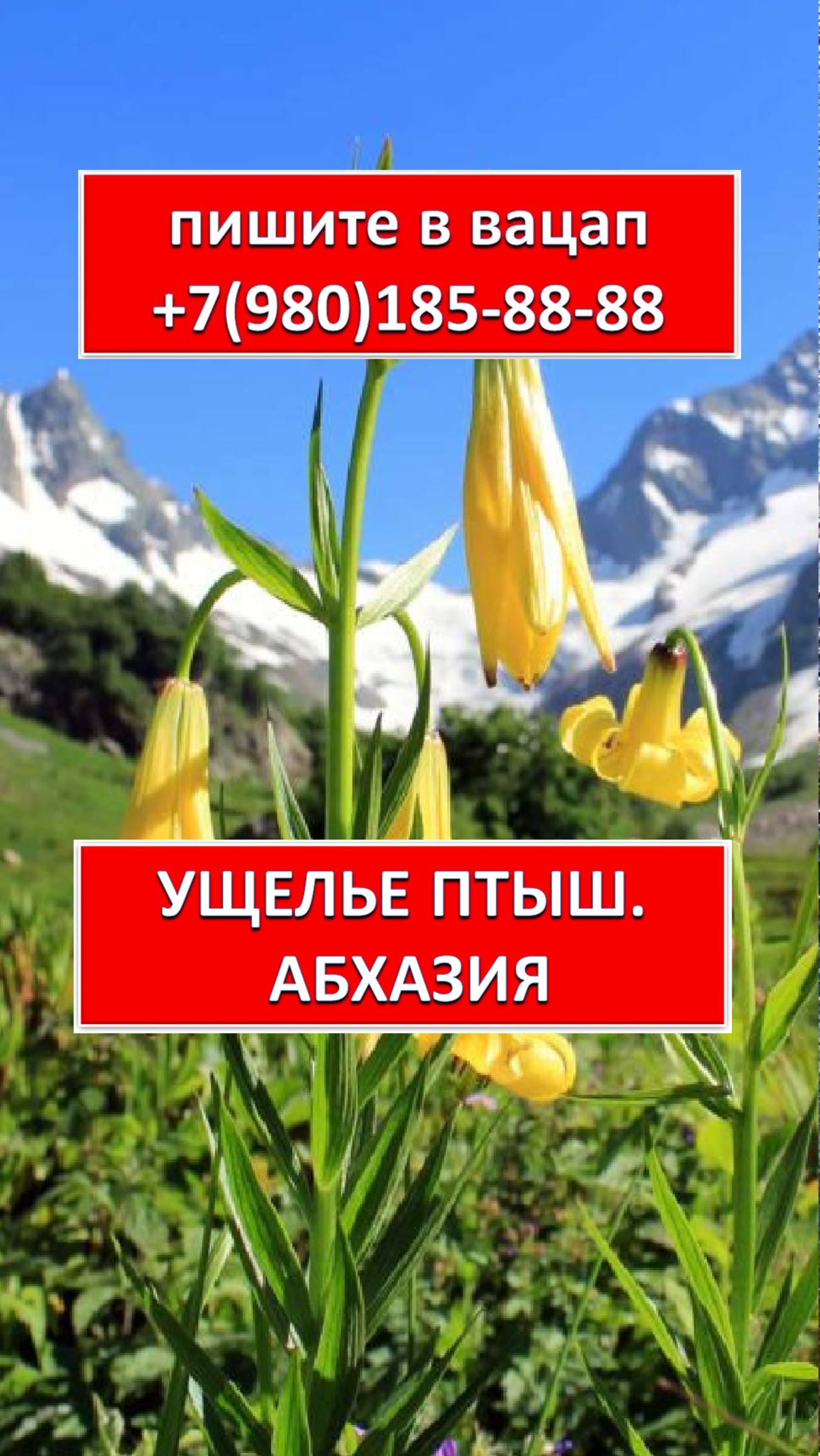 УЩЕЛЬЕ ПТЫШ. АБХАЗИЯ