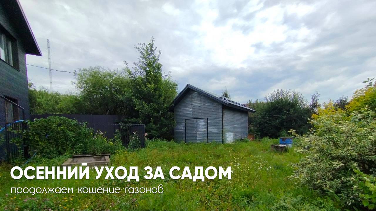 Осенний уход: продолжаем кошение газонов