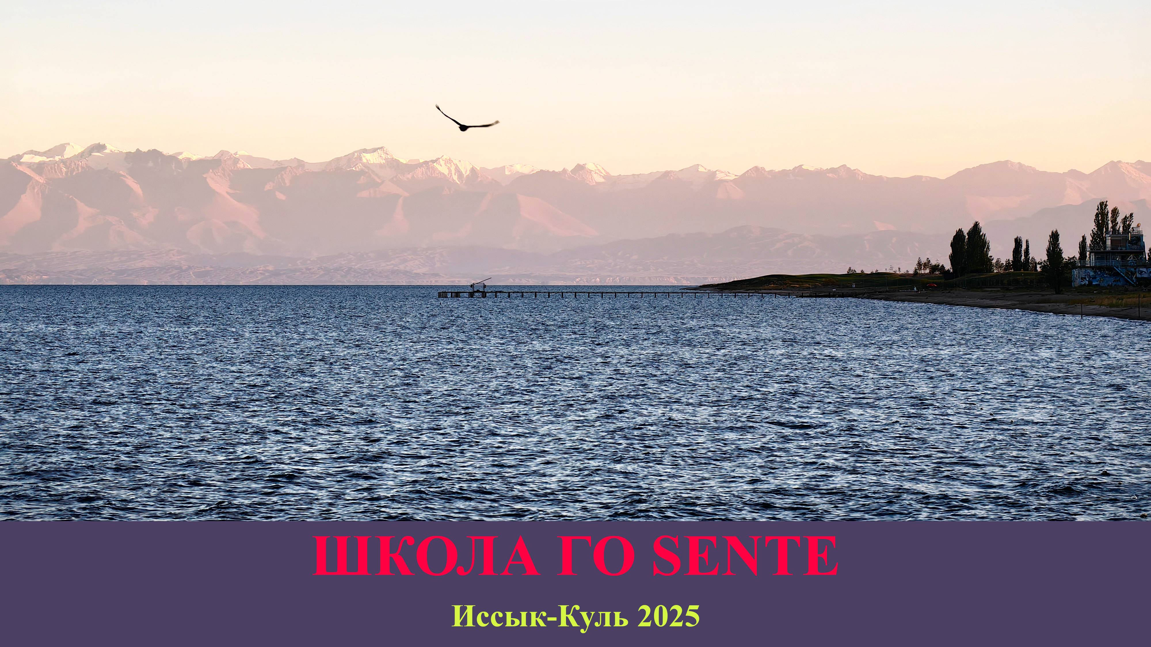 Школа Го Sente 2025 (Иссык-Куль)