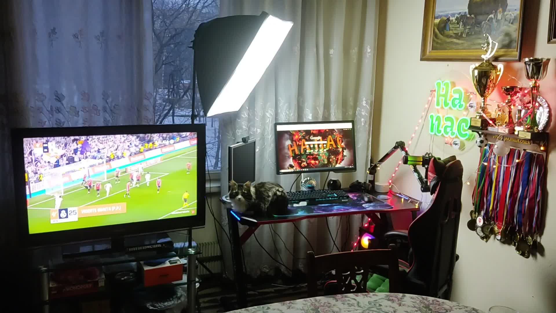Вечерний стрим