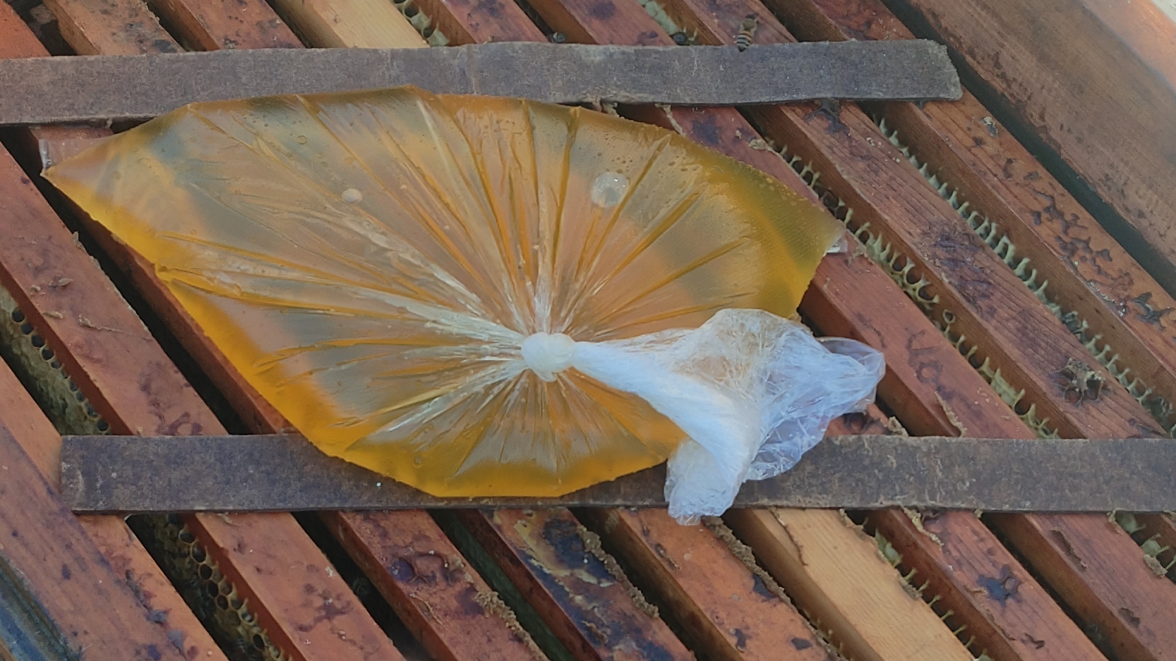 Настала осень пора кормить пчел.