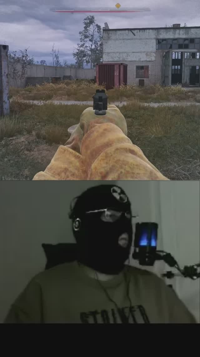 Desert eagle в деле #stalker2