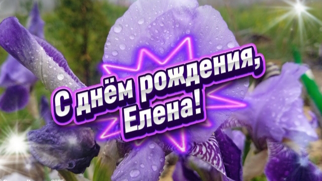 С днём рожденья, Елена!