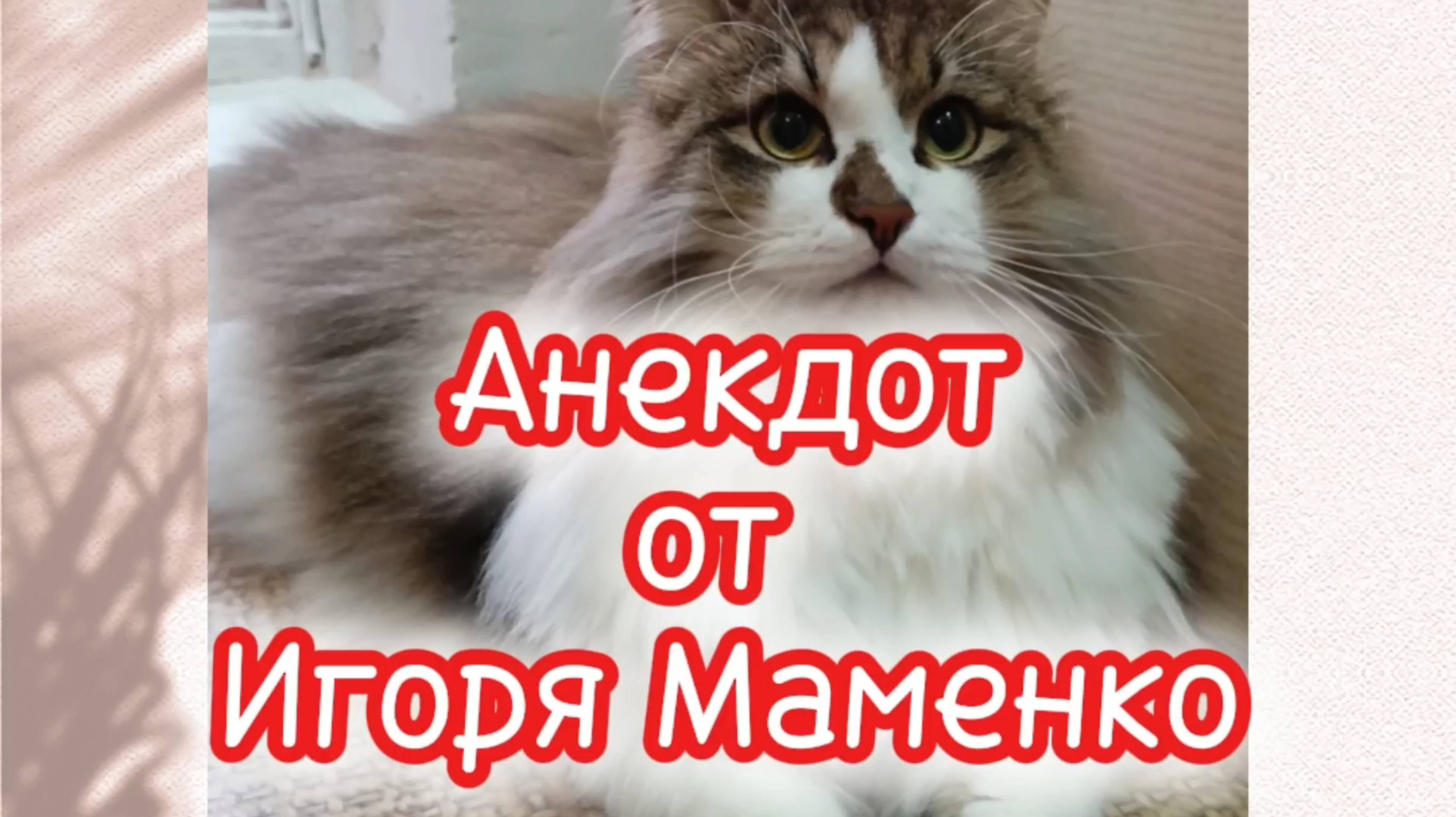 Анекдот от Игоря Маменко.