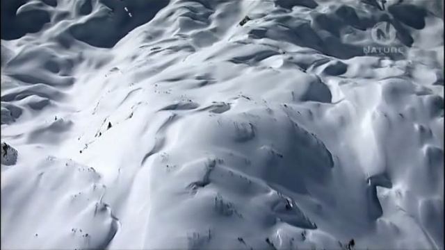 Первый снег