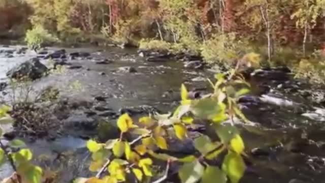 Над моей Россией_ музыка Олега Сапегина слова Аллы Колмаковой