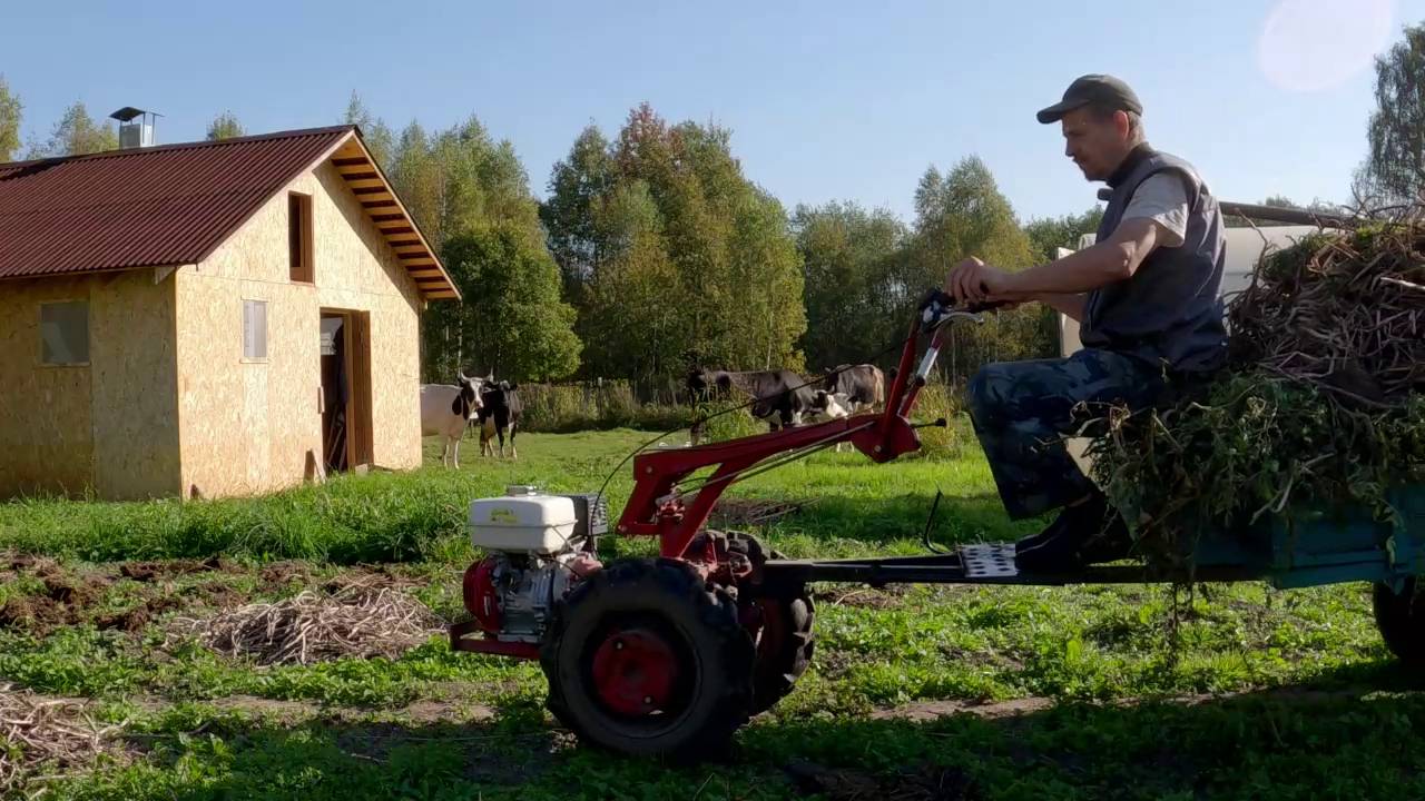 Докупили сентябрьского сена, теперь спокойны и деревенские будни хозяйства!