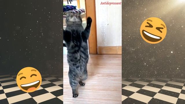 Я РЖАЛ ДО СЛЕЗ 😂 ОТБОРНЫе ПРИКОЛы, Смешные видео - Лучшие ПРИКОЛЫ #15