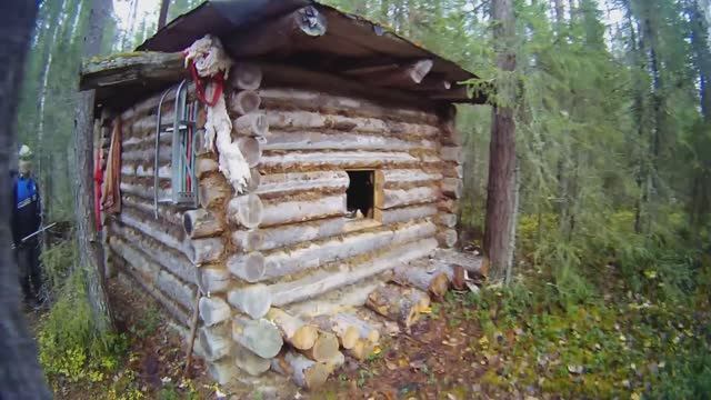 Поход в лес. Осень в тайге. - (разведка, клюква, рыба, жарим мясо, ночевка в избе)